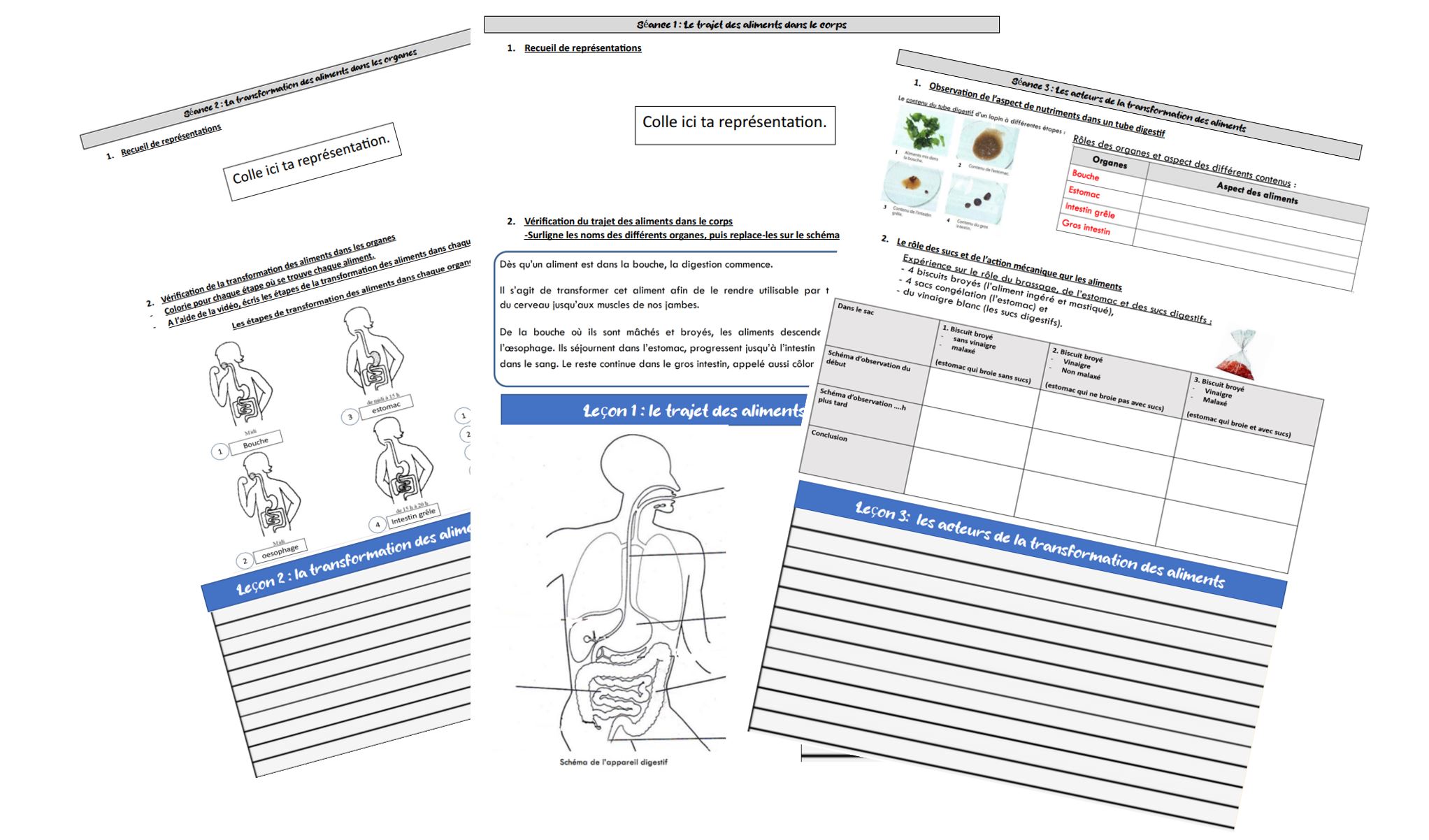 La digestion – La trousse bleue