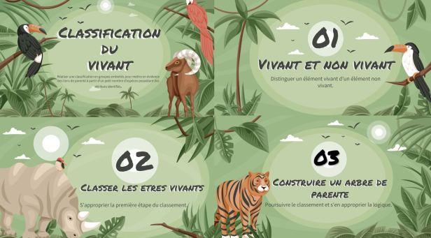 Séquence sciences CM « classification du vivant » – La trousse bleue